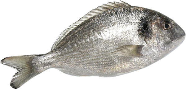Buy Danube Dennis Fish 1kg and Meat, Poultry & Seafood online - Danube