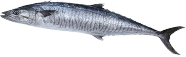Buy Danube Kanaad (Derak) Fish 1kg and Meat, Poultry & Seafood online ...