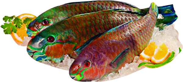 Buy Danube Hareed Fish 1kg and Meat, Poultry & Seafood online - Danube