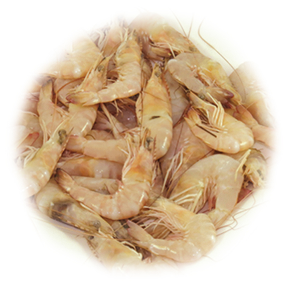 Buy Danube Medium Shrimp 1kg and Meat, Poultry & Seafood online - Danube