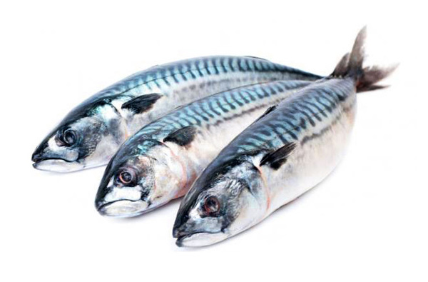 Buy Danube Mackerel Fish 1kg and Meat, Poultry & Seafood online - Danube