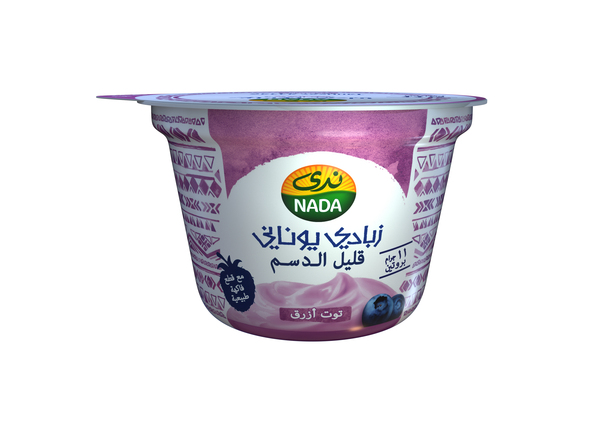 Nada - Blue Berry Greek Yoghurt Low Fat 160 G - Danube