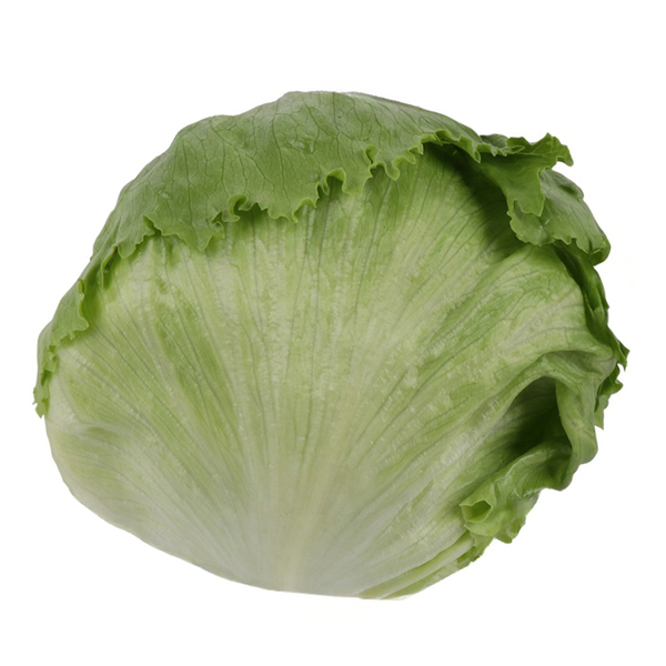 Buy Spanish Round Lettuce 1kg and Fresh Fruits & Vegetables online - Danube